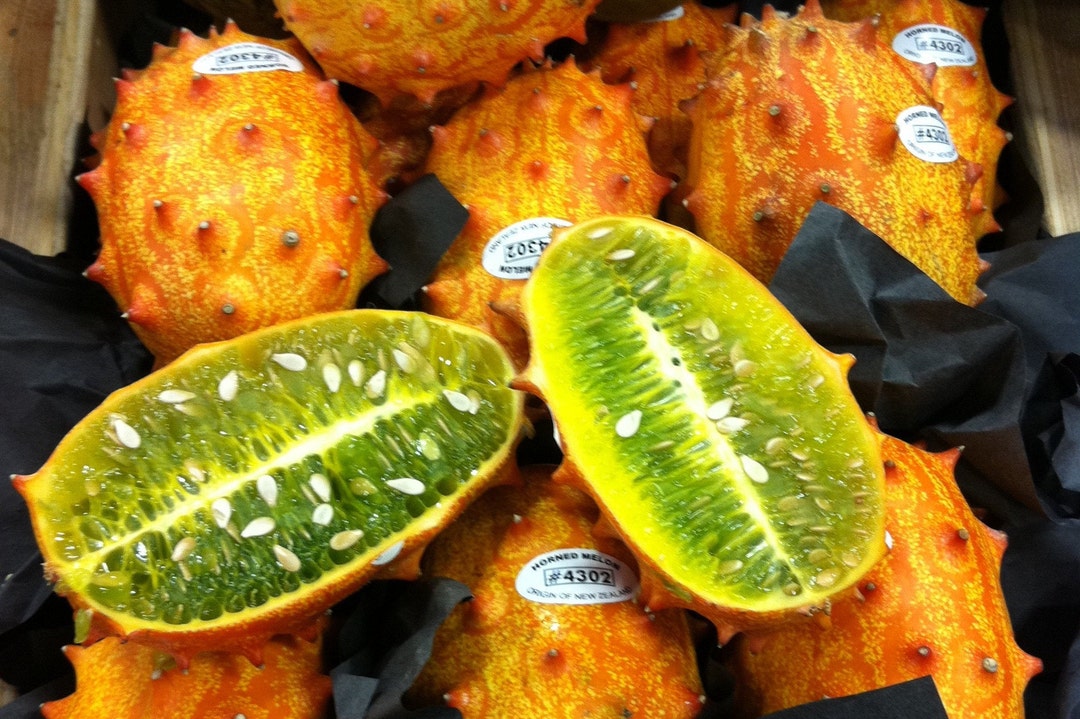 50 Cucumber Jelly Melon Seeds - Etsy