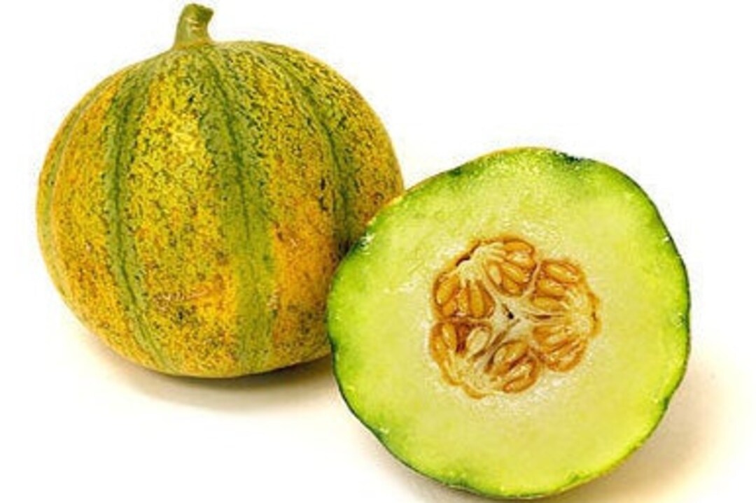 100 Israel Melon Ogen Seeds - Etsy