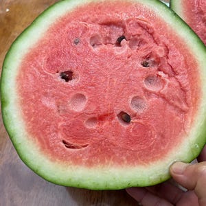 10 Mini Love Watermelon Seeds - Etsy