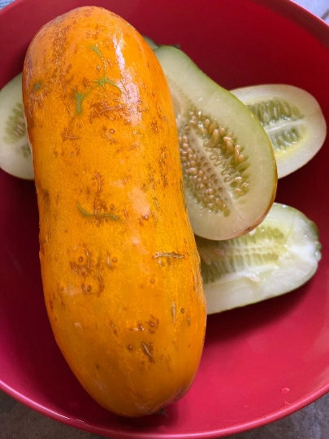 10 Hmong Cucumber Seeds - Etsy