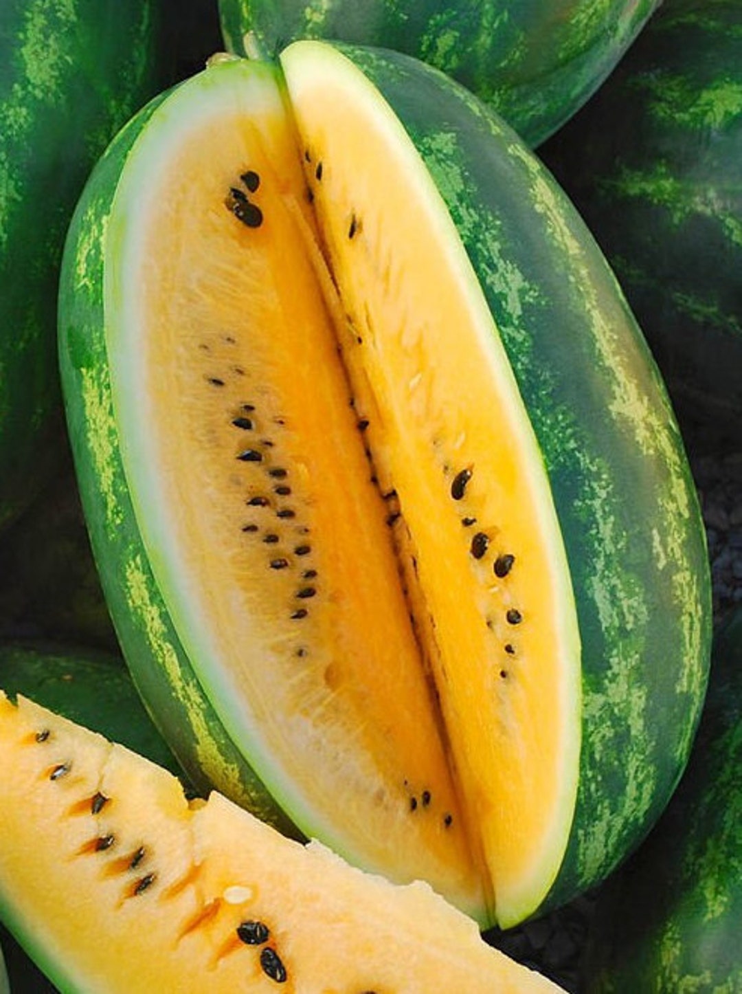20 Mountain Sweet Watermelon Seeds - Etsy