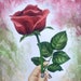 Rose and Hand (print) - Etsy