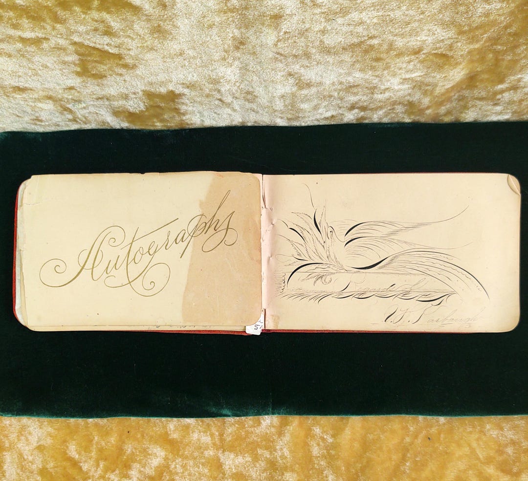 Antique Victorian - Velvet Autograph Book 1890s - Etsy