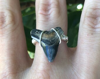 Shark Tooth Ring | Etsy