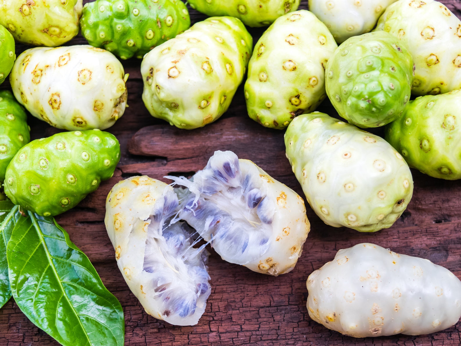 Wild Harvested Noni Fruit Seed Oil Cold Pressed Unrefined - Etsy