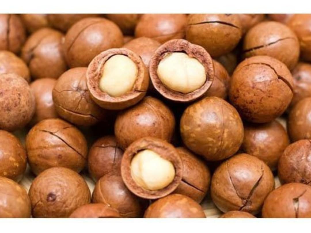 Mongongo manketti Oil Virgin Organic Ethically Sourced and Cold-pressed ...