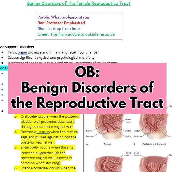 Female Reproductive Disorders - Etsy