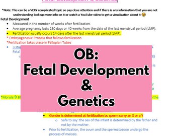 Fetal Development OB Maternity Nursing Notes Study Guide Milestones ...