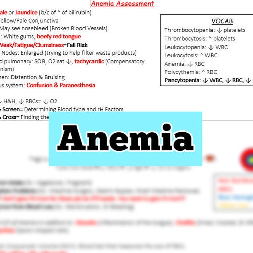Nursing Care Plan Printable ADPIE Nursing Study Guide - Etsy