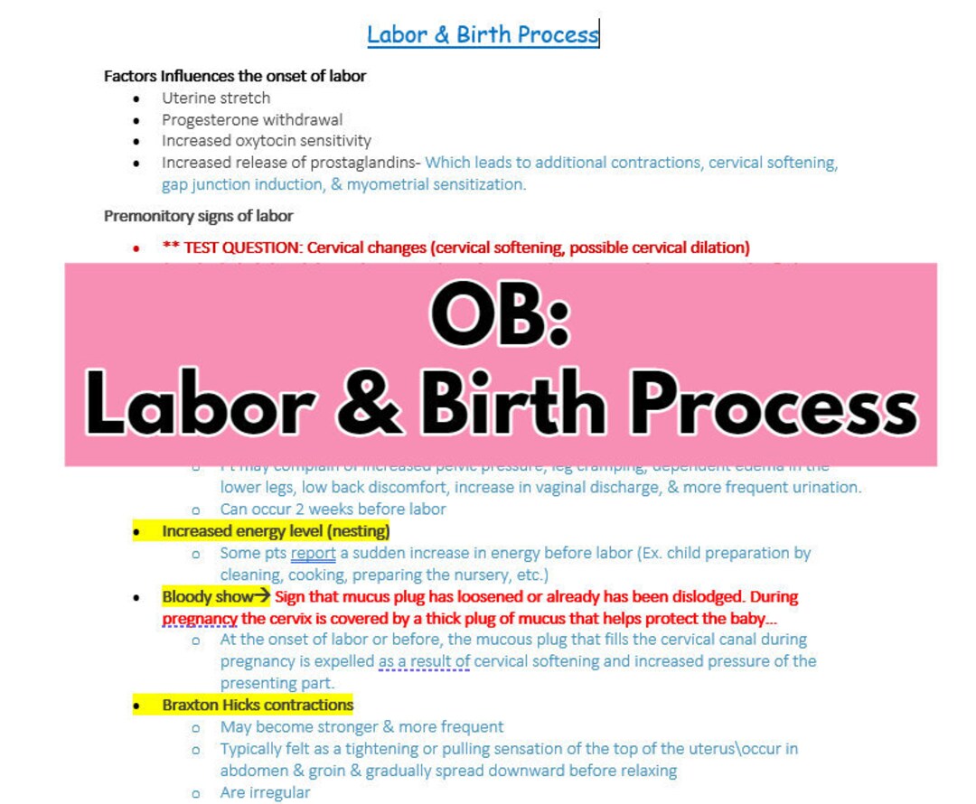 Labor & Birth Process Nursing Study Guide - Etsy