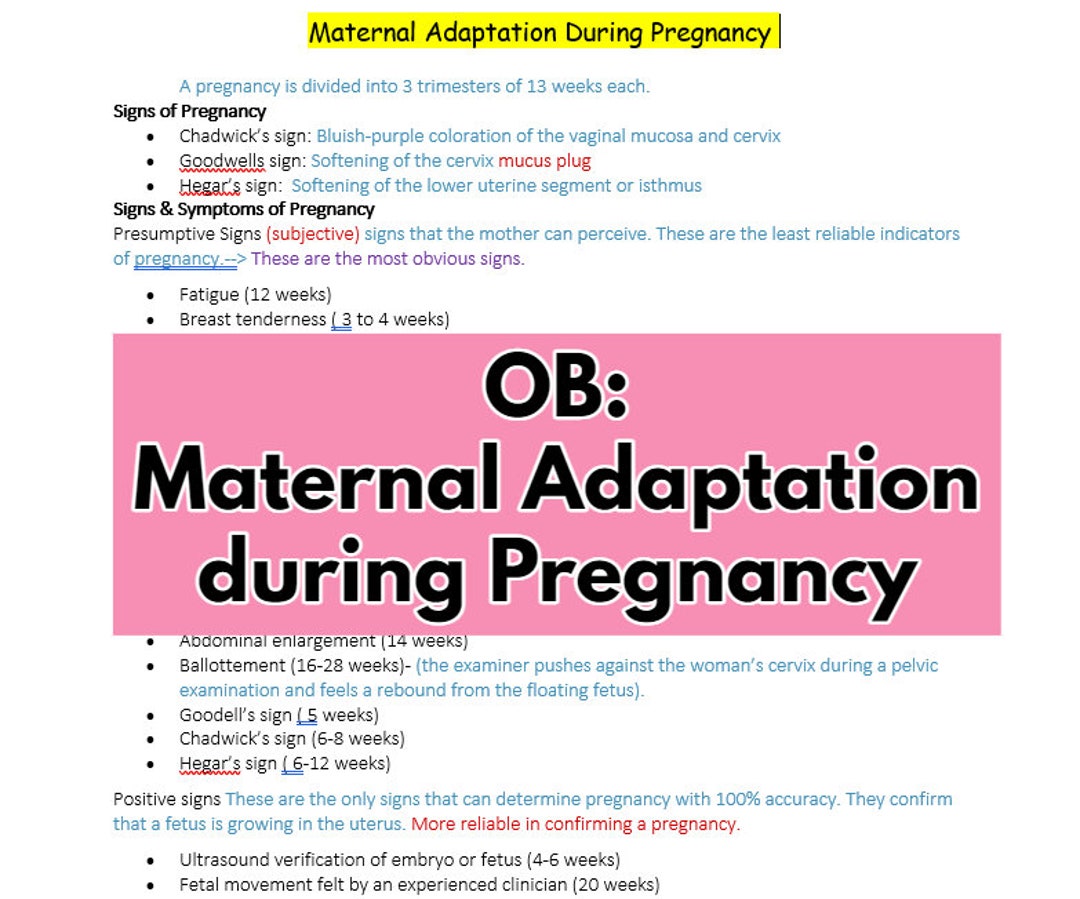 Maternal Adaptation During Pregnancy Nursing Study (Download Now) - Etsy