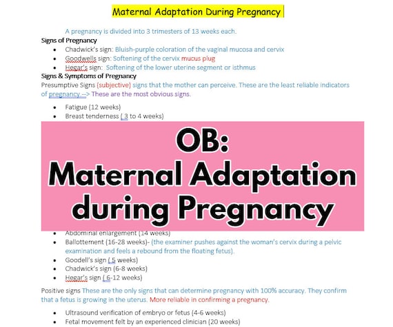 Maternal Adaptation During Pregnancy Nursing Study Guide - Etsy
