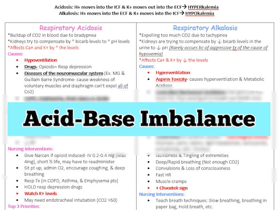 Acid-Base Imbalance Nursing Study Guide | Etsy