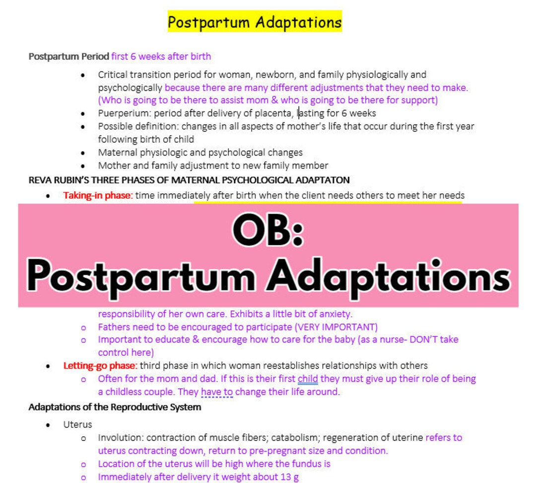 Postpartum Adaptations Nursing Study Guide - Etsy