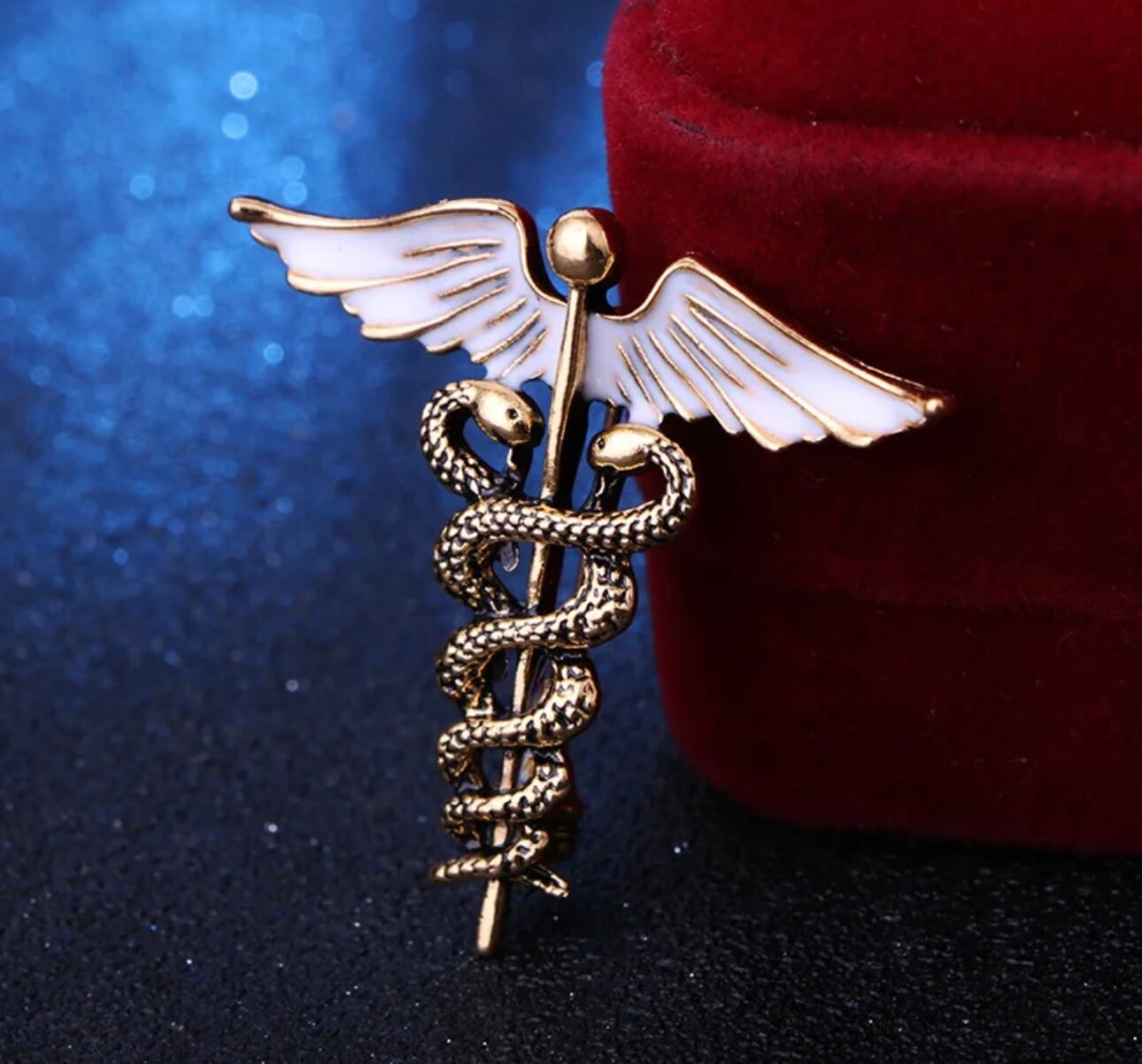 Nursing Medical Symbol Caduceus Pin RN Nursing Badge Brooches Lapel Pin ...