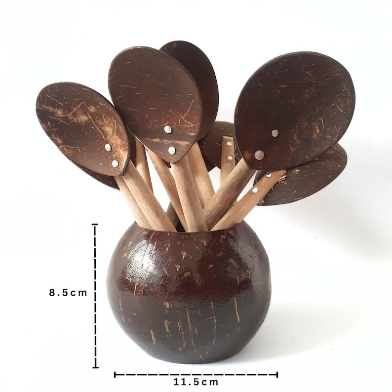 Eco-friendly Coconut Shell Spoons Set of 10 With Stylish Coconut Shell ...