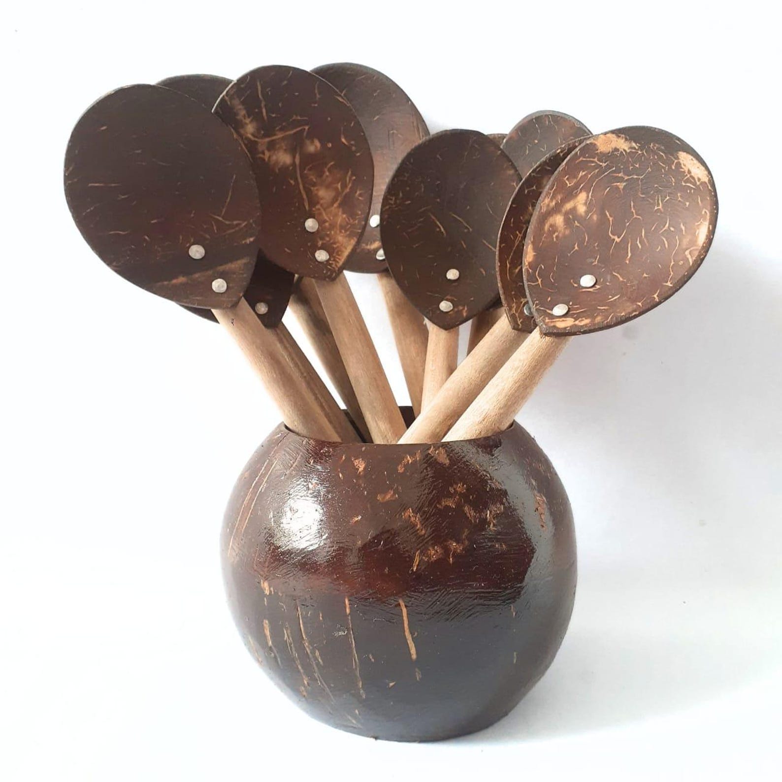 Eco-friendly Coconut Shell Spoons Set of 10 With Stylish Coconut Shell ...