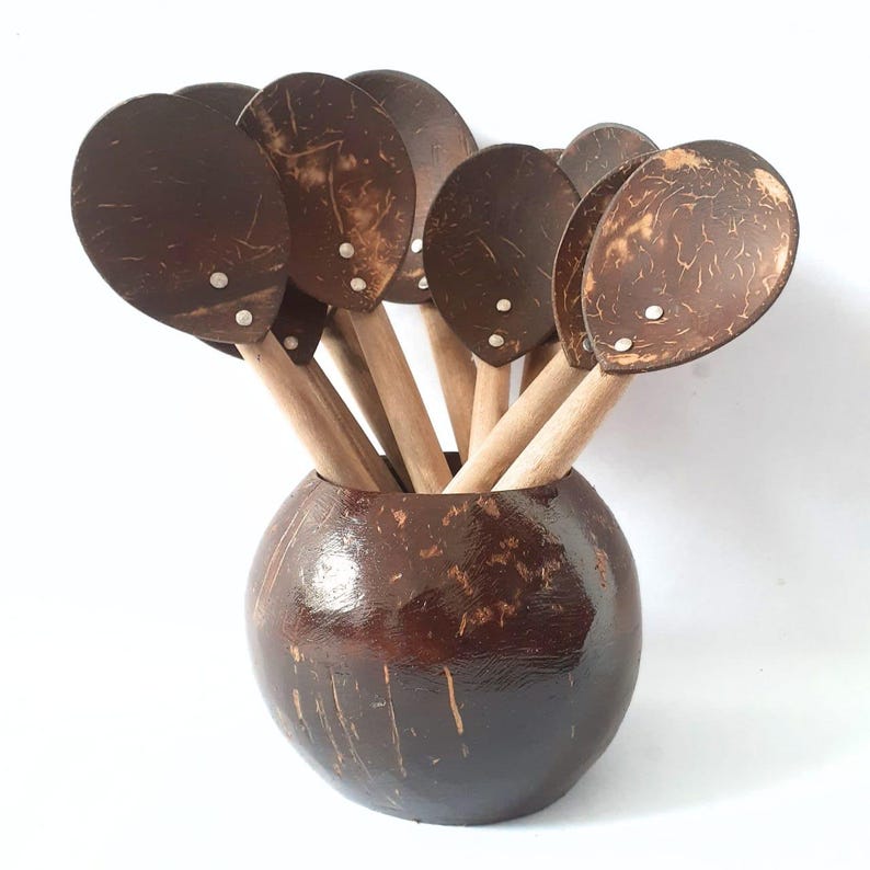 Eco-friendly Coconut Shell Spoons Set of 10 With Stylish Coconut Shell ...