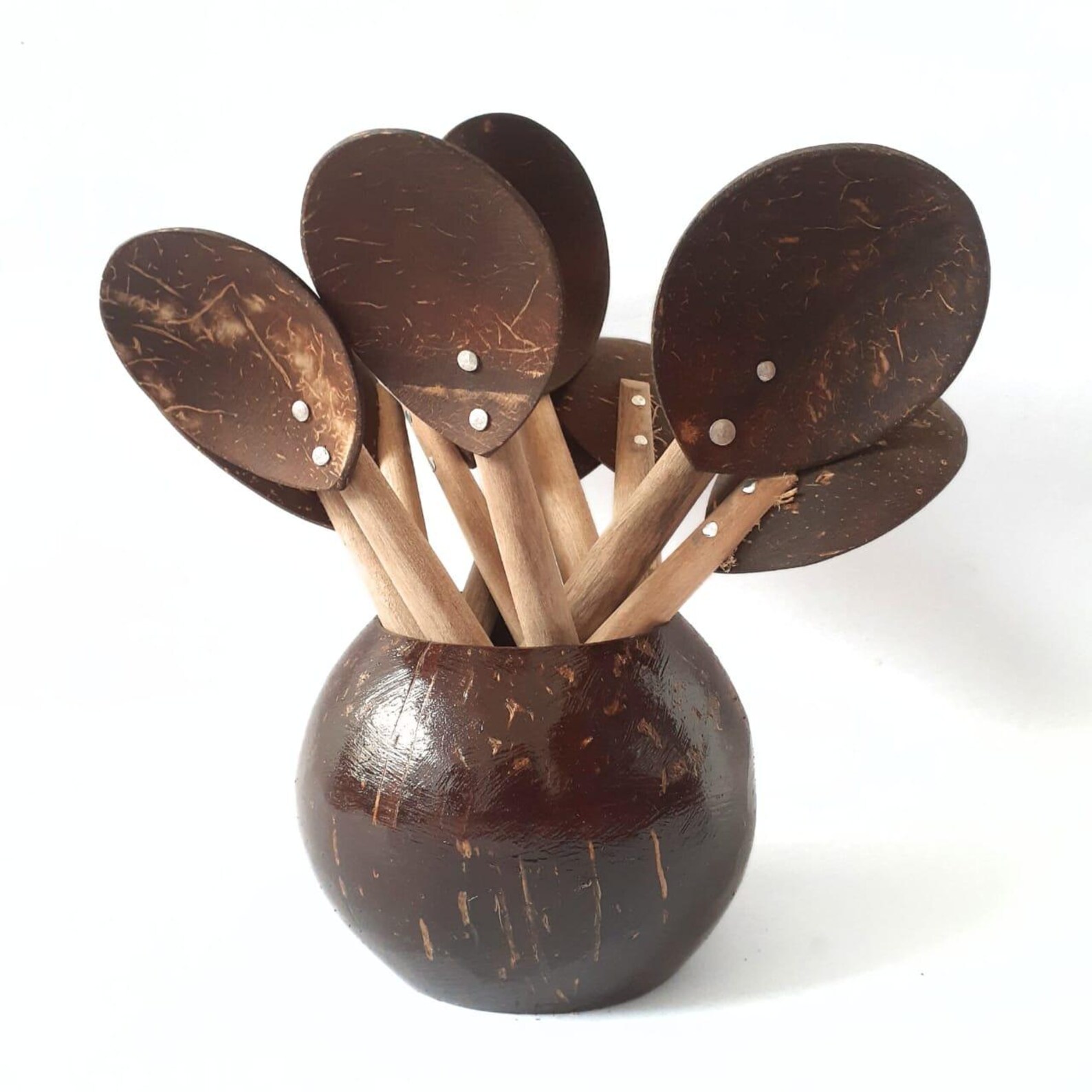 Eco-friendly Coconut Shell Spoons Set of 10 With Stylish Coconut Shell ...