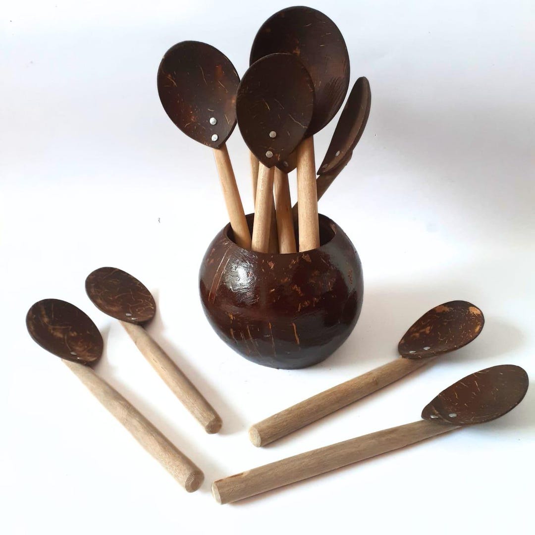 Eco-friendly Coconut Shell Spoons Set of 10 With Stylish Coconut Shell ...
