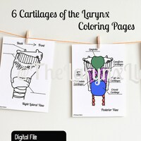 Larynx - Etsy