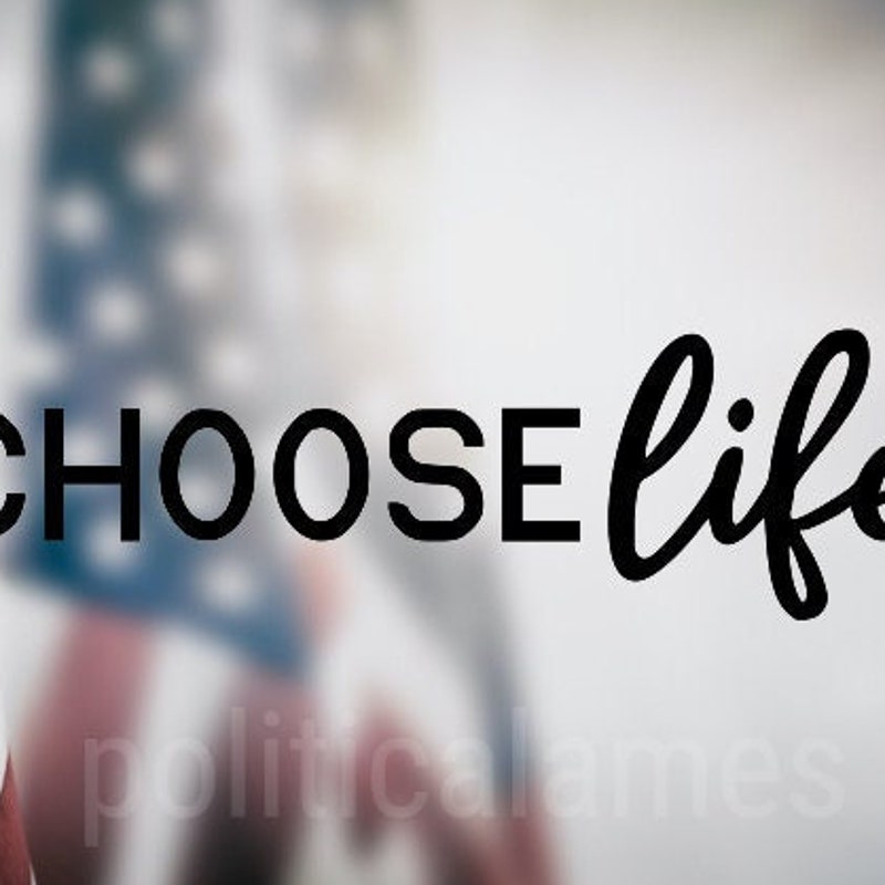 PoliticalAMES - Etsy