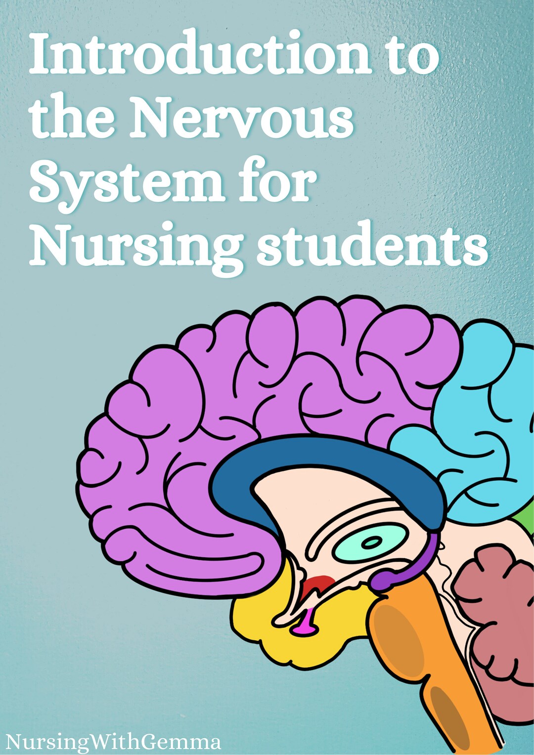 Introduction to the Nervous System for Nursing Students - Etsy