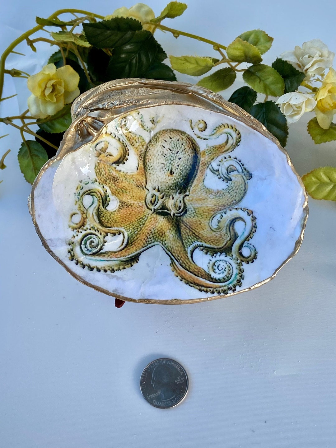 Ernst Haeckel Octopus Clam Shell Ring Dish, Decoupage Beach Decor - Etsy
