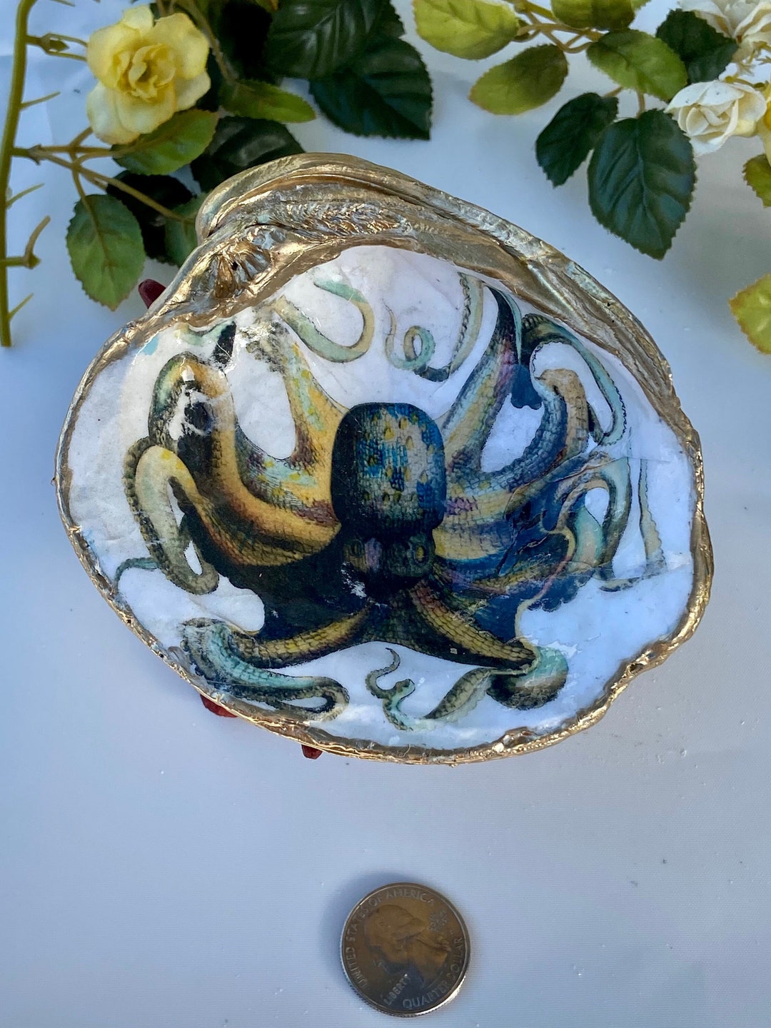 Ernst Haeckel Octopus Shell Dish: Decoupage Sanibel Island Art - Etsy