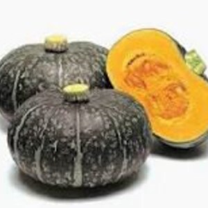 Kabocha Winter Squash Seeds - Etsy