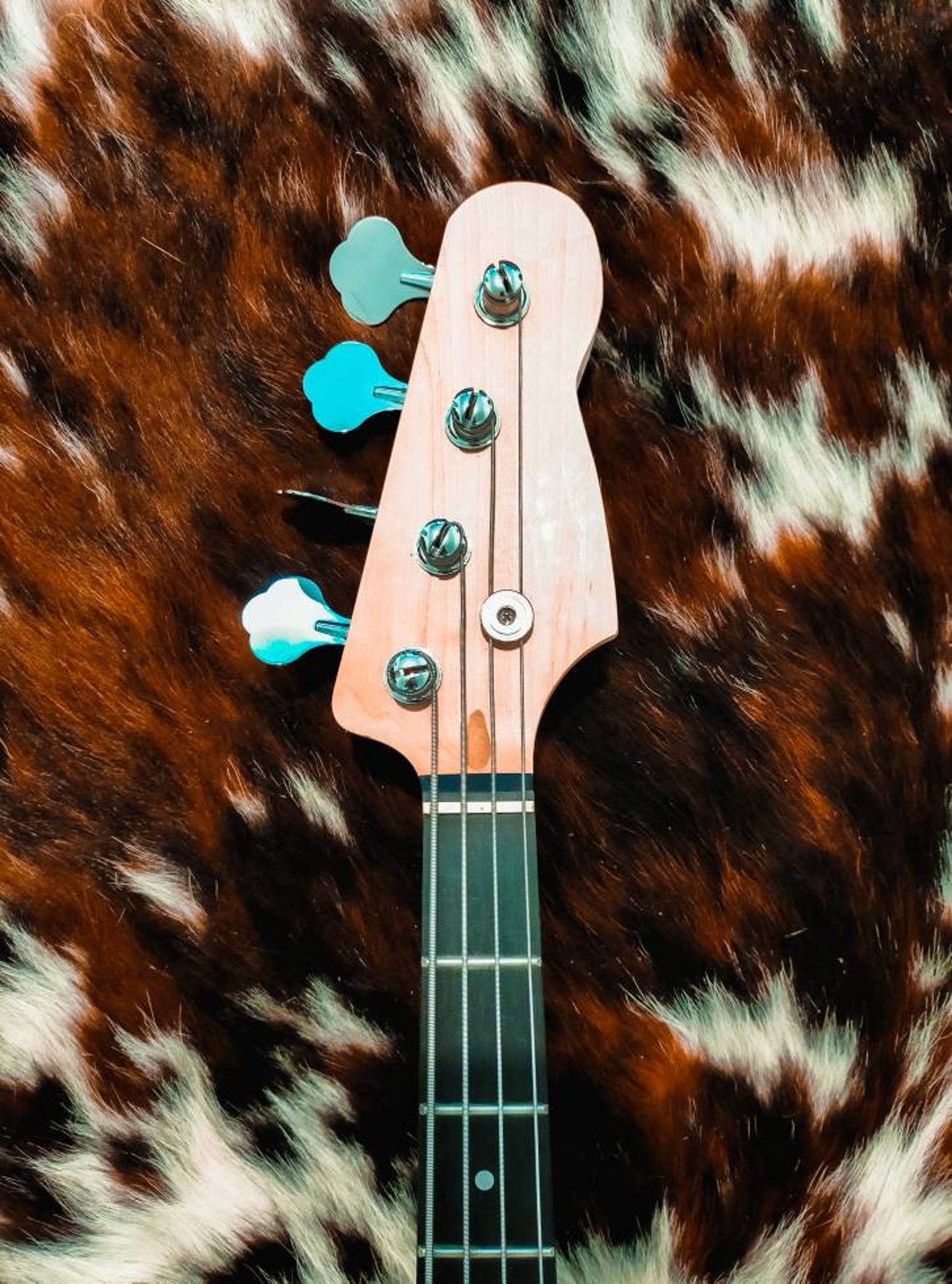 PREORDER - Buffalo Bass - Etsy