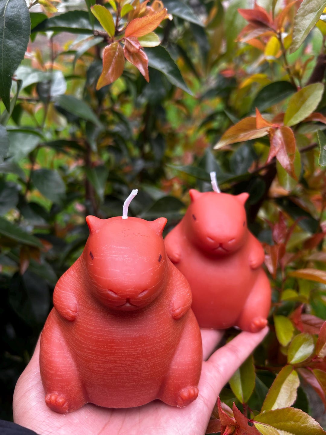 Capybara Candle| Capybara Lover Gift| Capybara Decor| Home Decor| Funny ...
