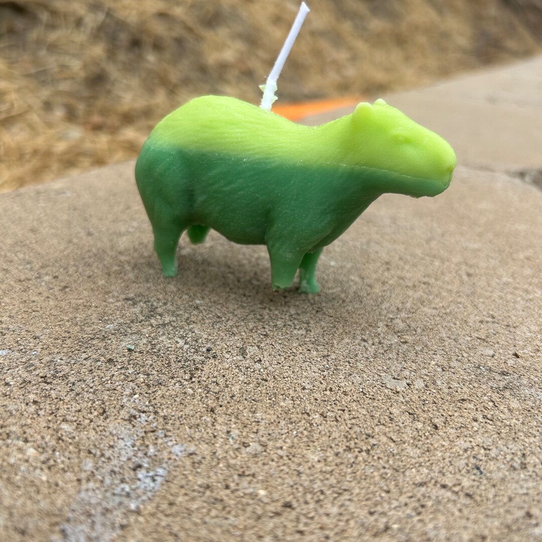 Green Capybara Candle, Piña Colada Candle, Apple Scented Candle - Etsy