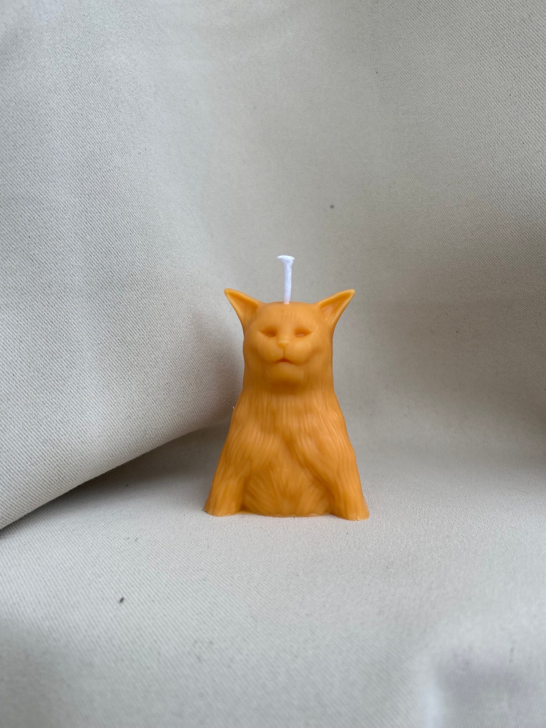 Smudge the Cat Candle, Meme Candle, Cat Candle, Animal Lovers Candle ...