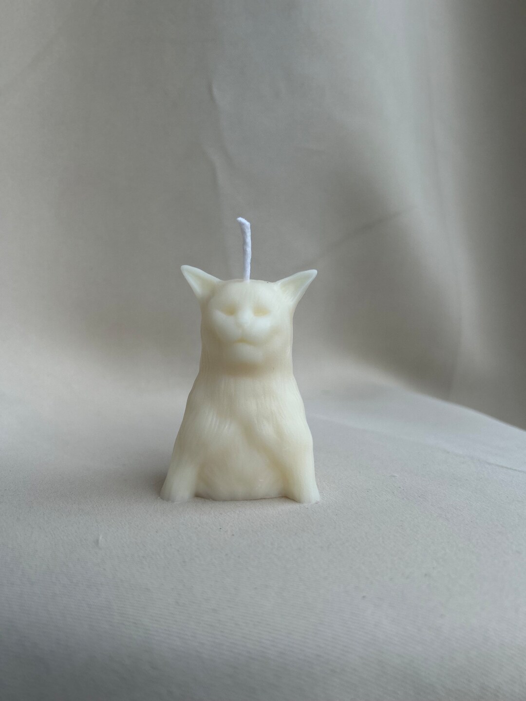 Smudge the Cat Candle Meme Candle Cat Candle Animal Lovers - Etsy