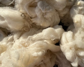 Rambouillet Sheep - Etsy