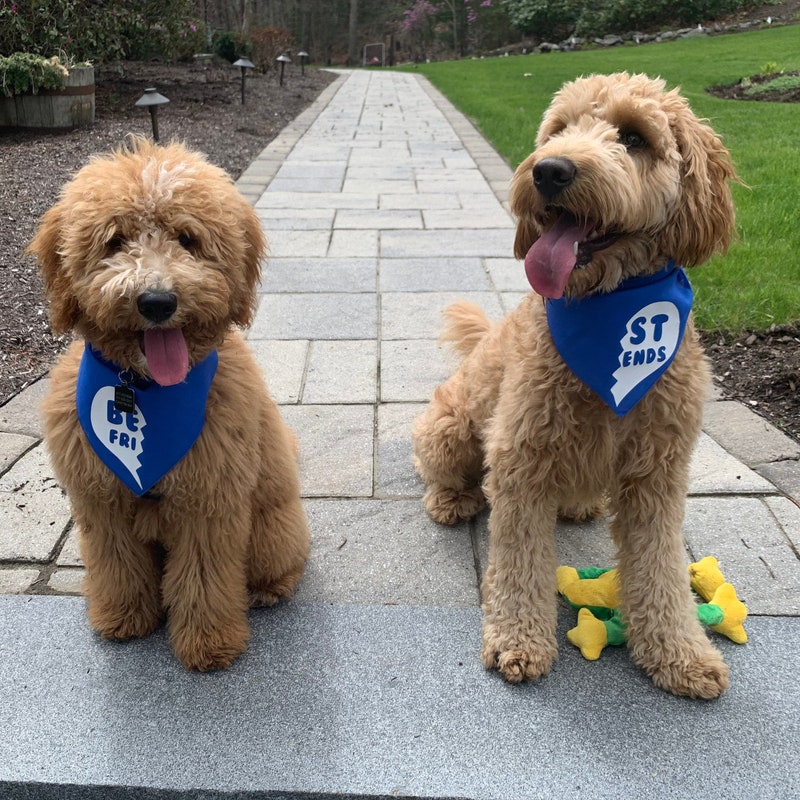 Best Friends Bow - Etsy