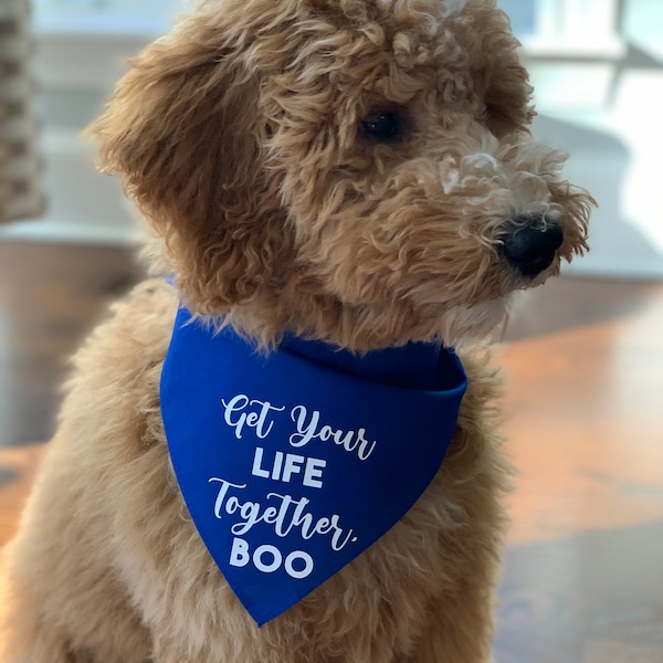 Get Your Life Together - Etsy