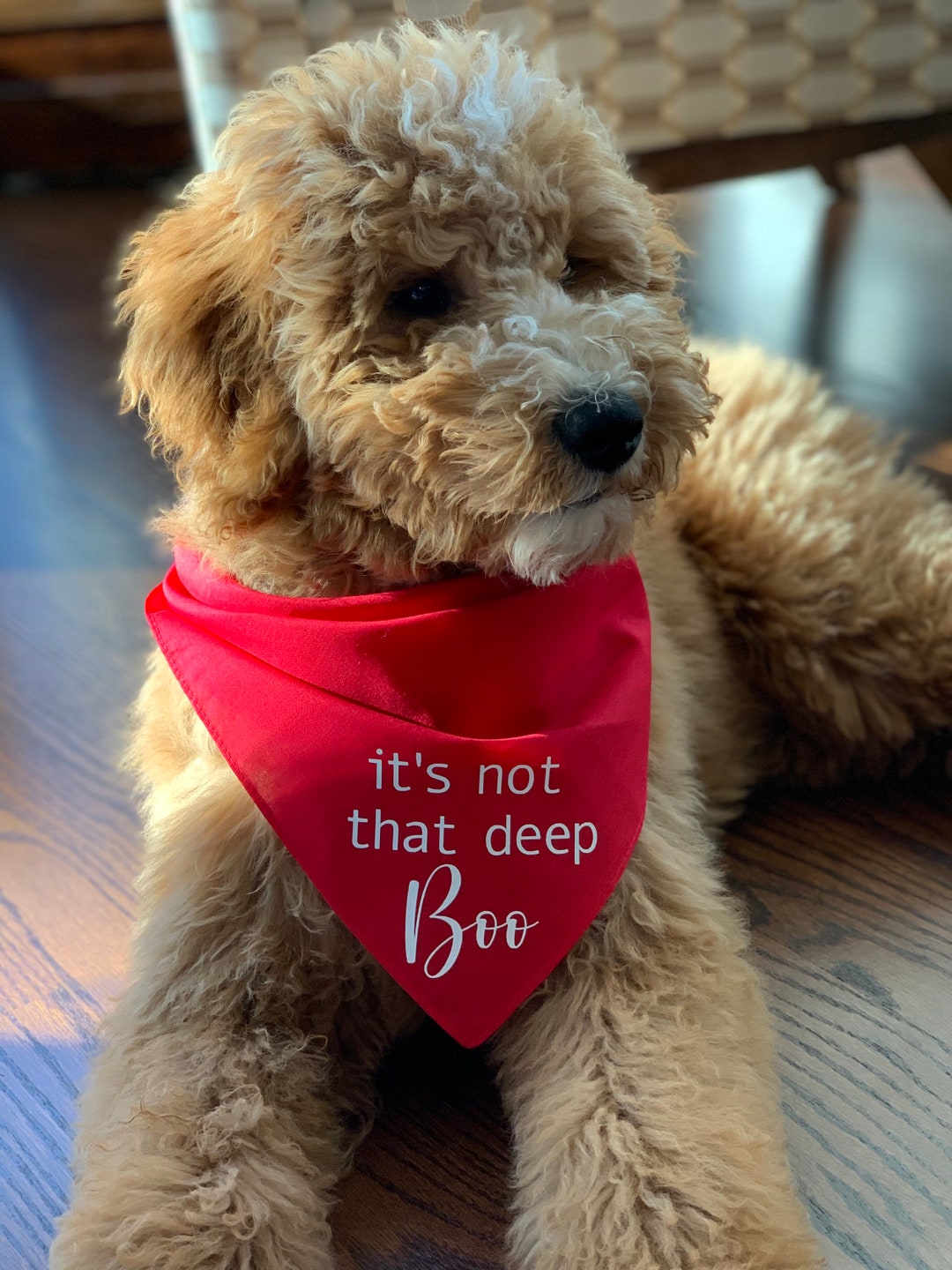 It’s Not That Deep Boo - Etsy