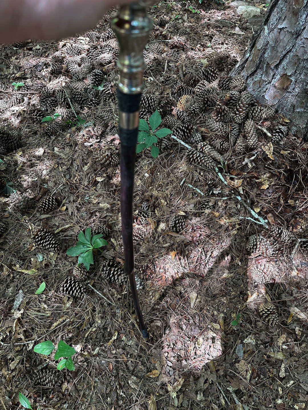 Hardwood Walking Stick With Brass Round Topper - Etsy
