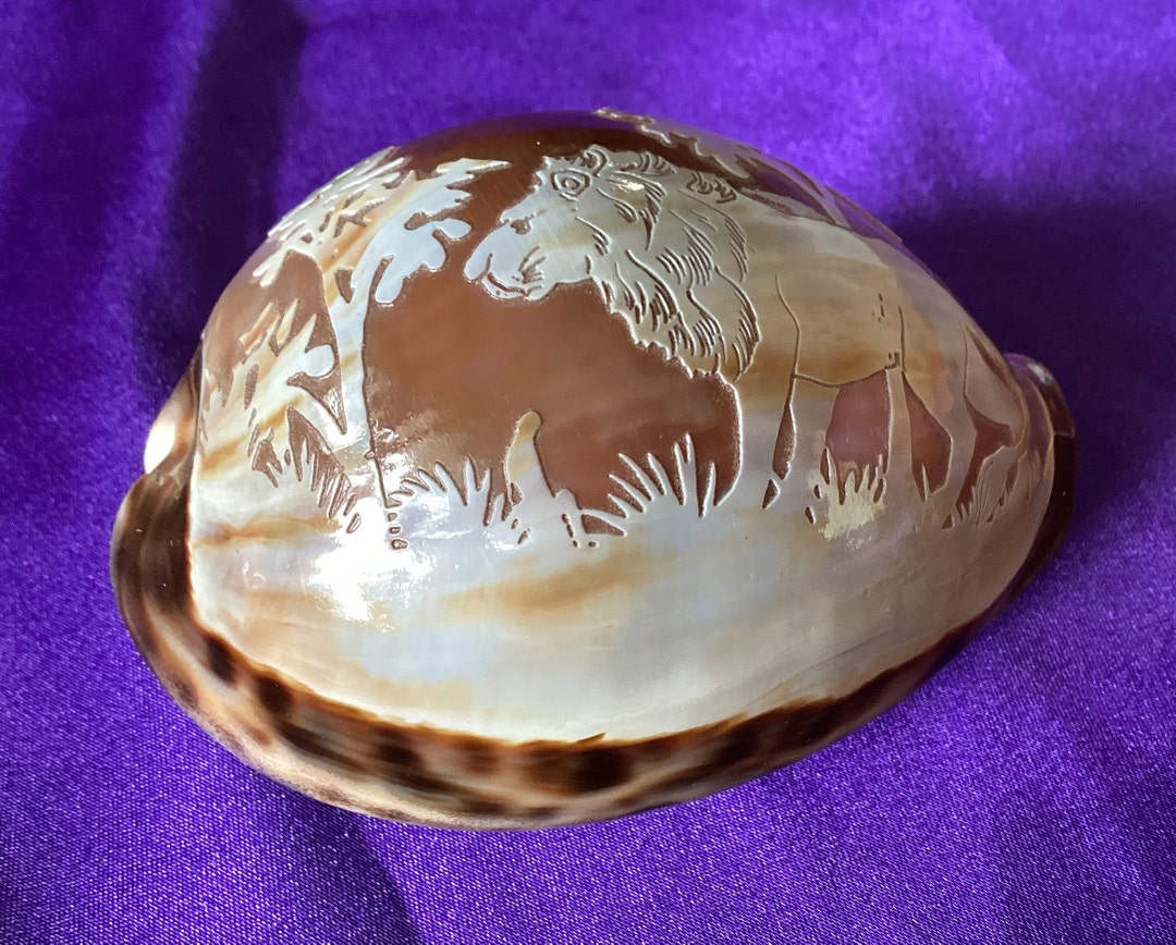 Vintage Cowrie Shell - Carved Lion -african Safari Scene -souvenir - Etsy