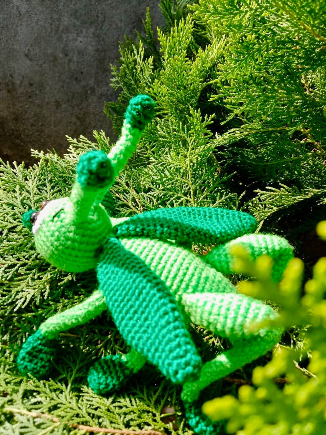 Crochet grasshopper toy Crochet animals plush Crochet | Etsy
