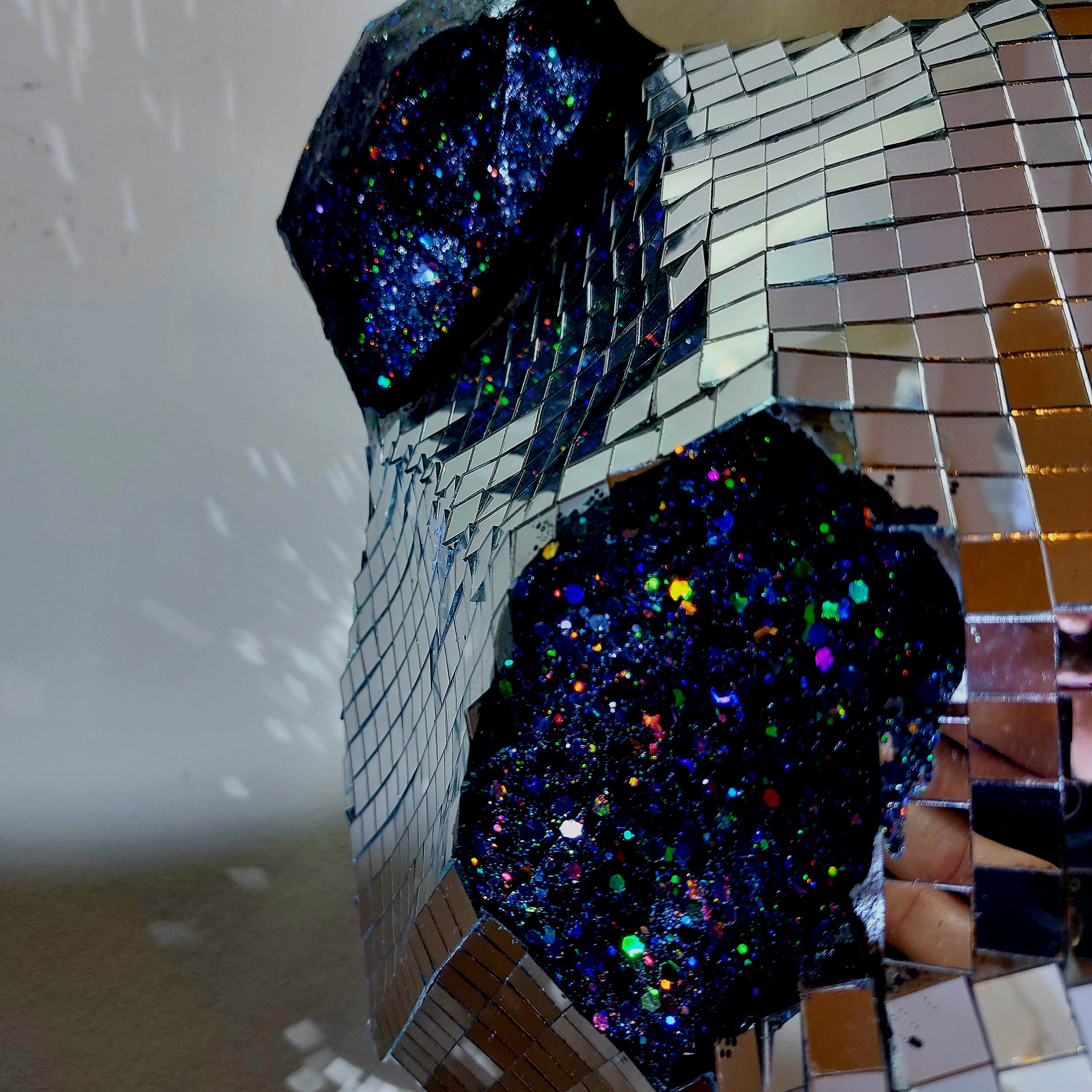 Disco Panda Disco Trophy Head Wall Mounted Animal Head Disco - Etsy