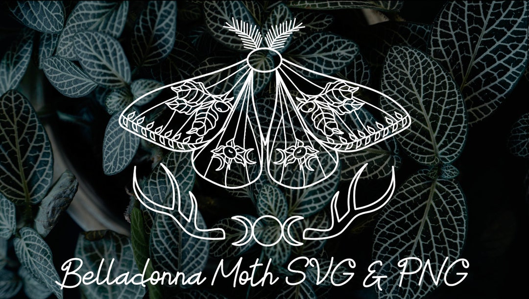 Belladonna Moth Witchy Tattoo SVG FILE ONLY - Etsy
