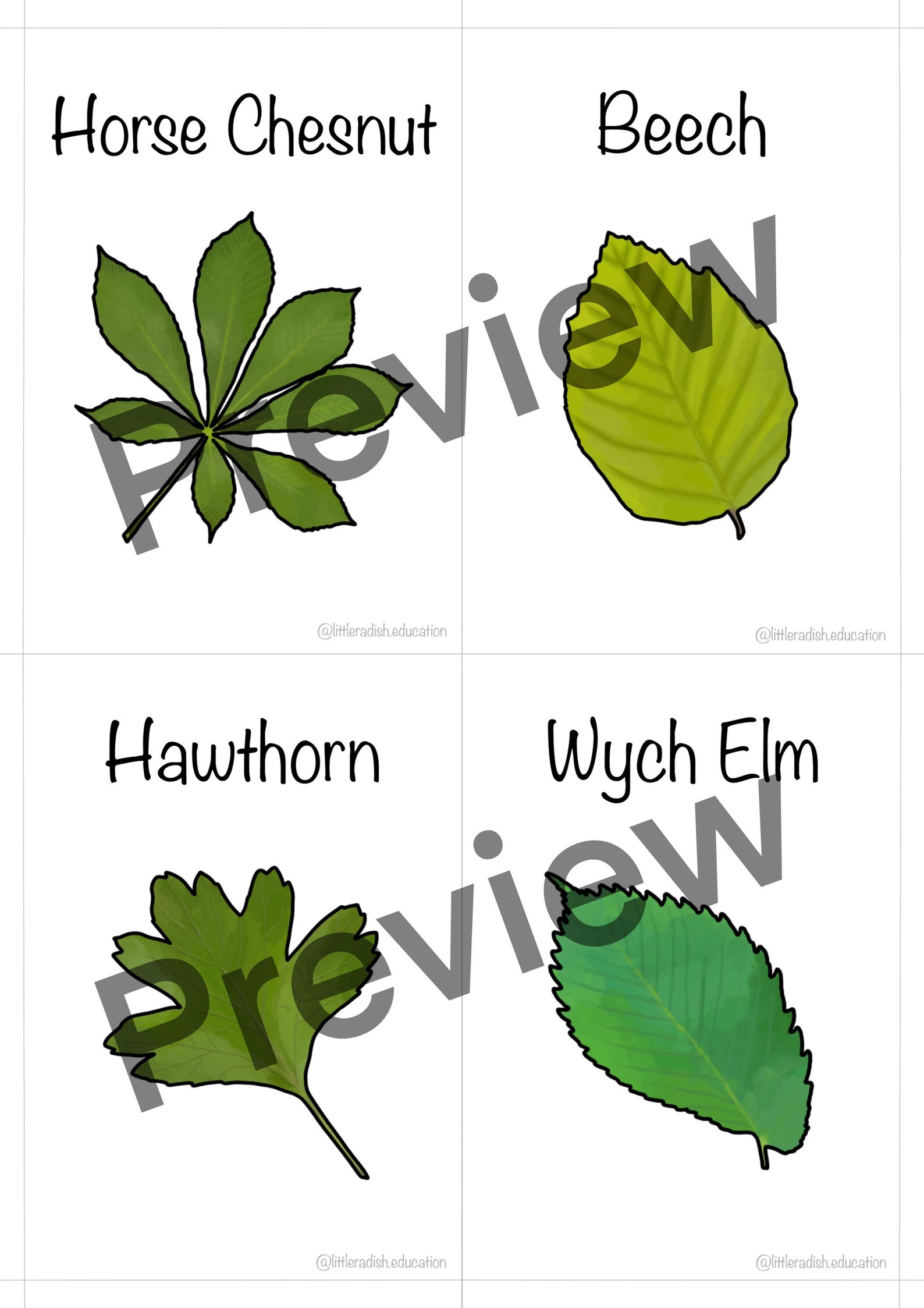 Printable Leaf Flashcards Nature Educational Learning - Etsy