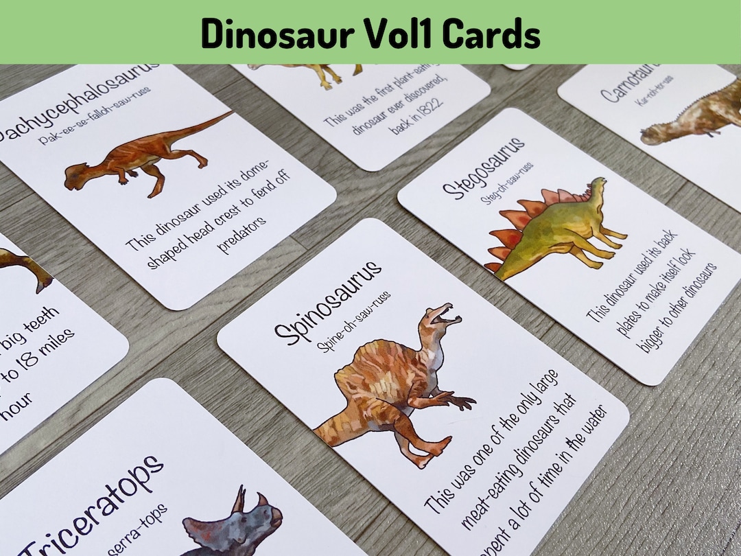Dinosaur Vol 1 Flashcards Printable, Educational Learning Resources ...