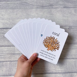 Printable Ocean Animals Vol 1 Cards Teaching Learning - Etsy Australia