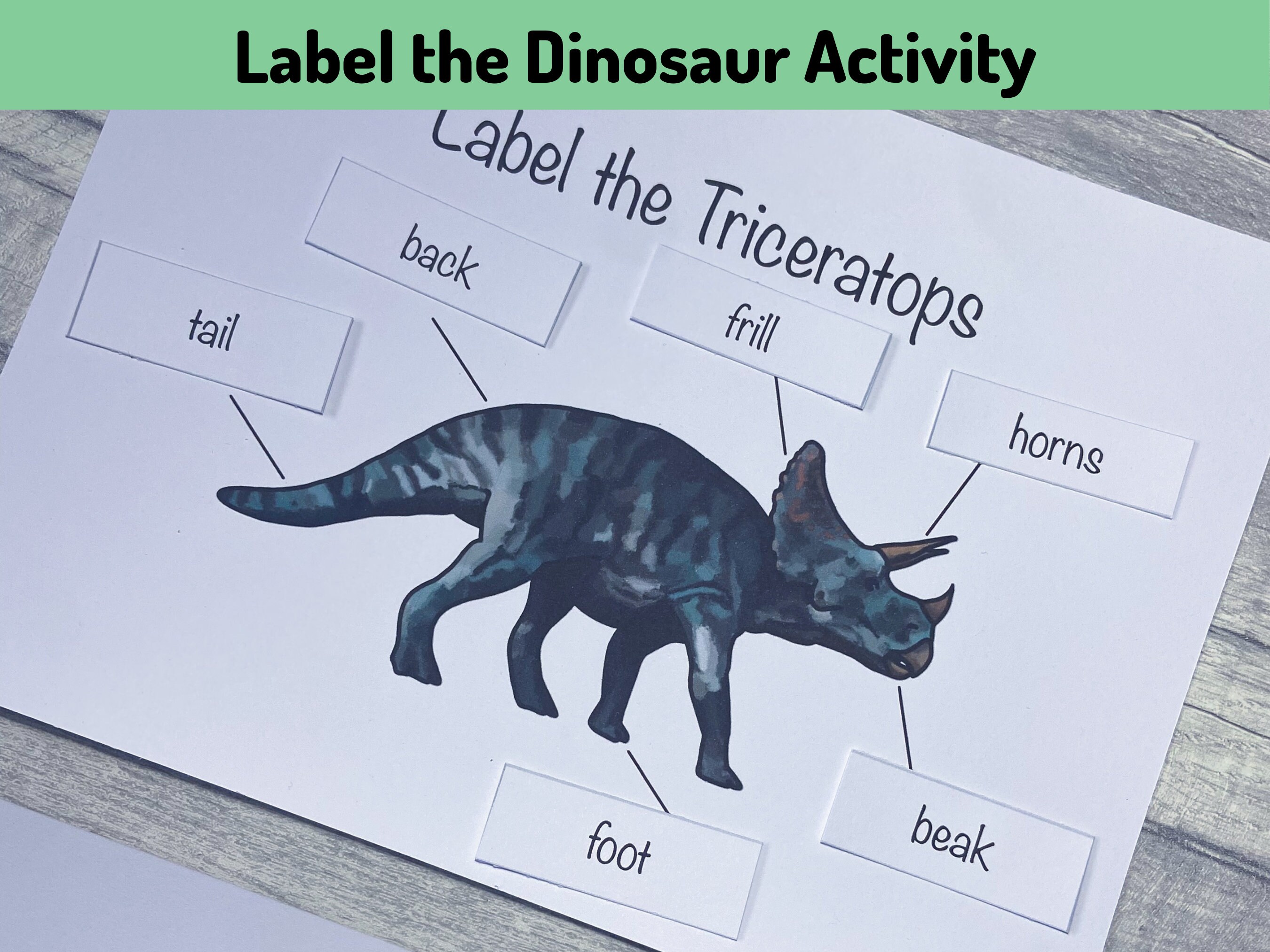 Frilled Back Dinosaur