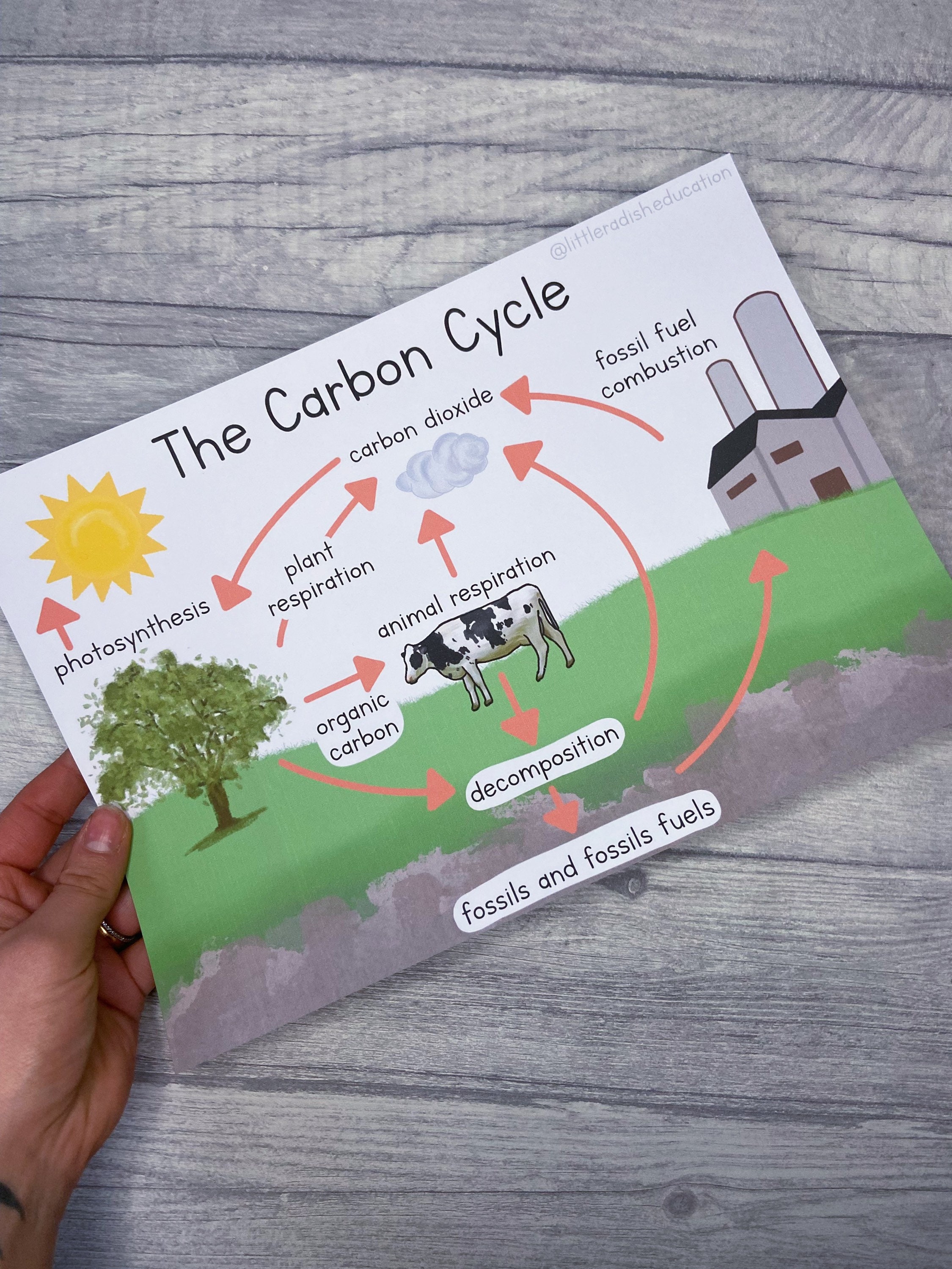 Fossil Fuel Diagram For Kids