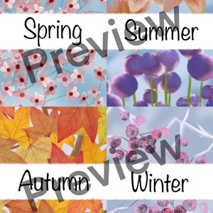 Printable Seasons Flashcards Educational Learning Resources, Teaching ...